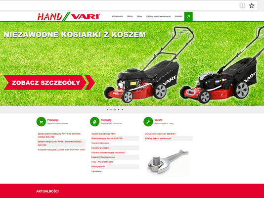 INTERNET SITE ABOUT VARI IN POLISH LANGUAGE / STRONA INTERNETOWA O VARI ...